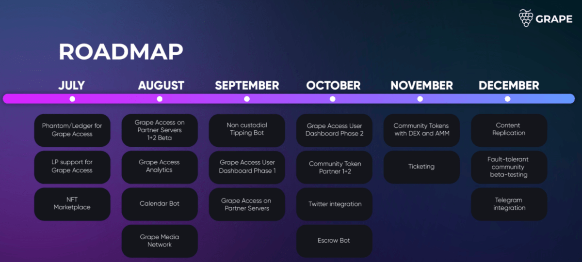 Grape Protocol là gì? Tìm hiểu về giao thức Grape và token GRAPE – ViMoney